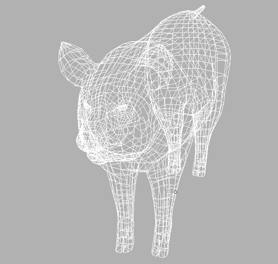 3d Pig Vertices