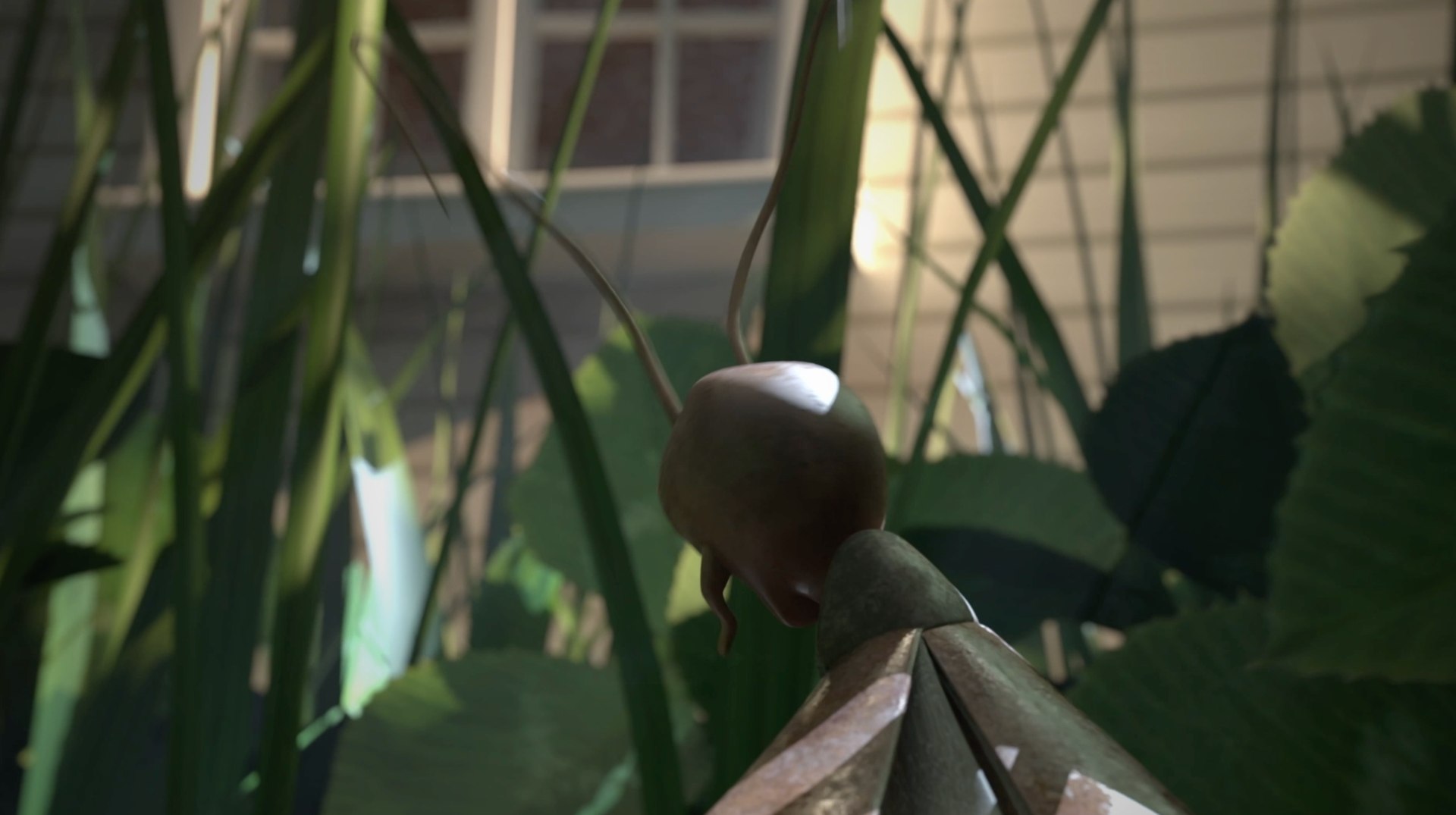 3D Character BUG - Fully Rigged - MoCap Ready - TurboSquid 2358028