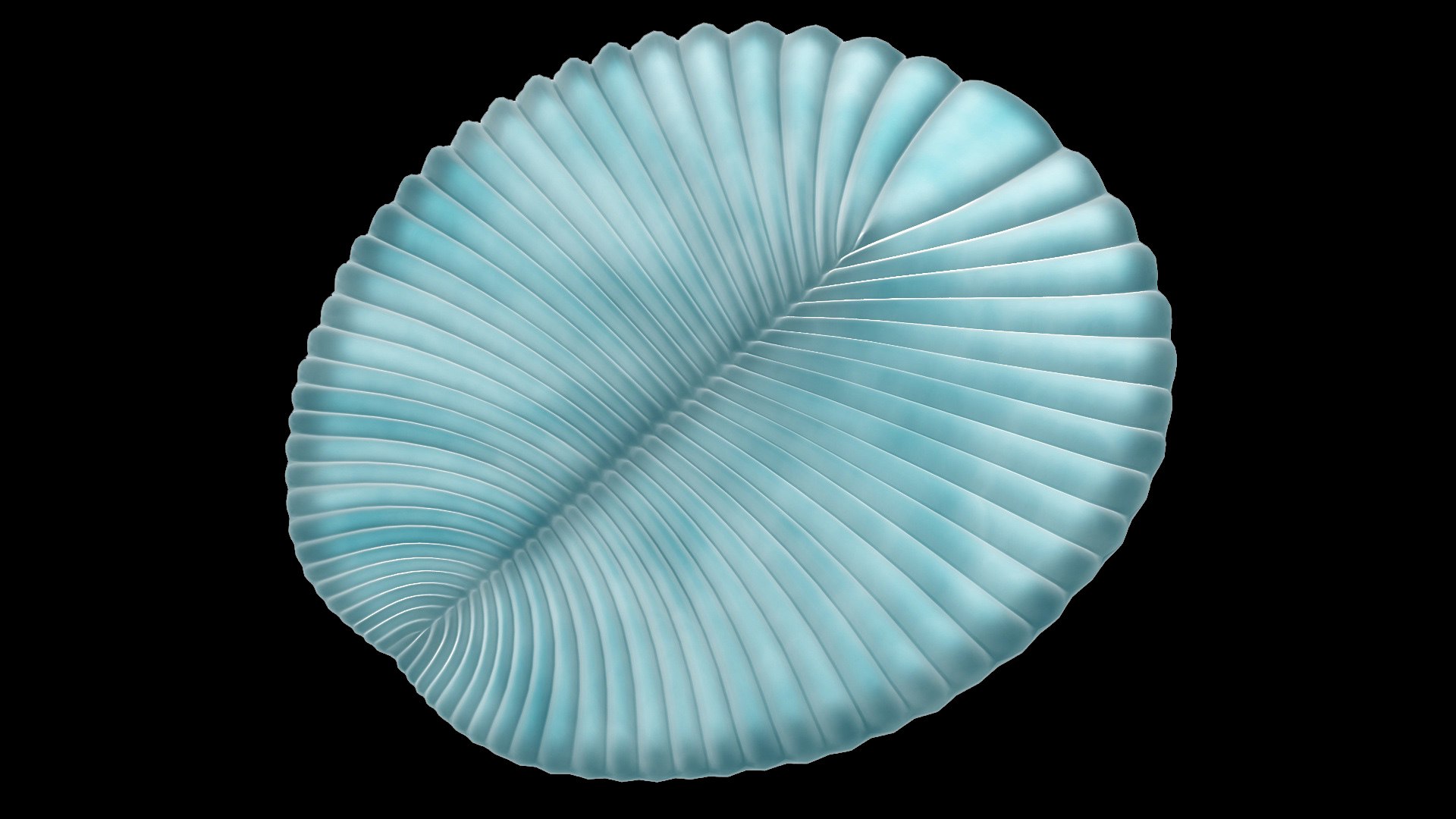 3D Animal Dickinsonia - TurboSquid 1563720