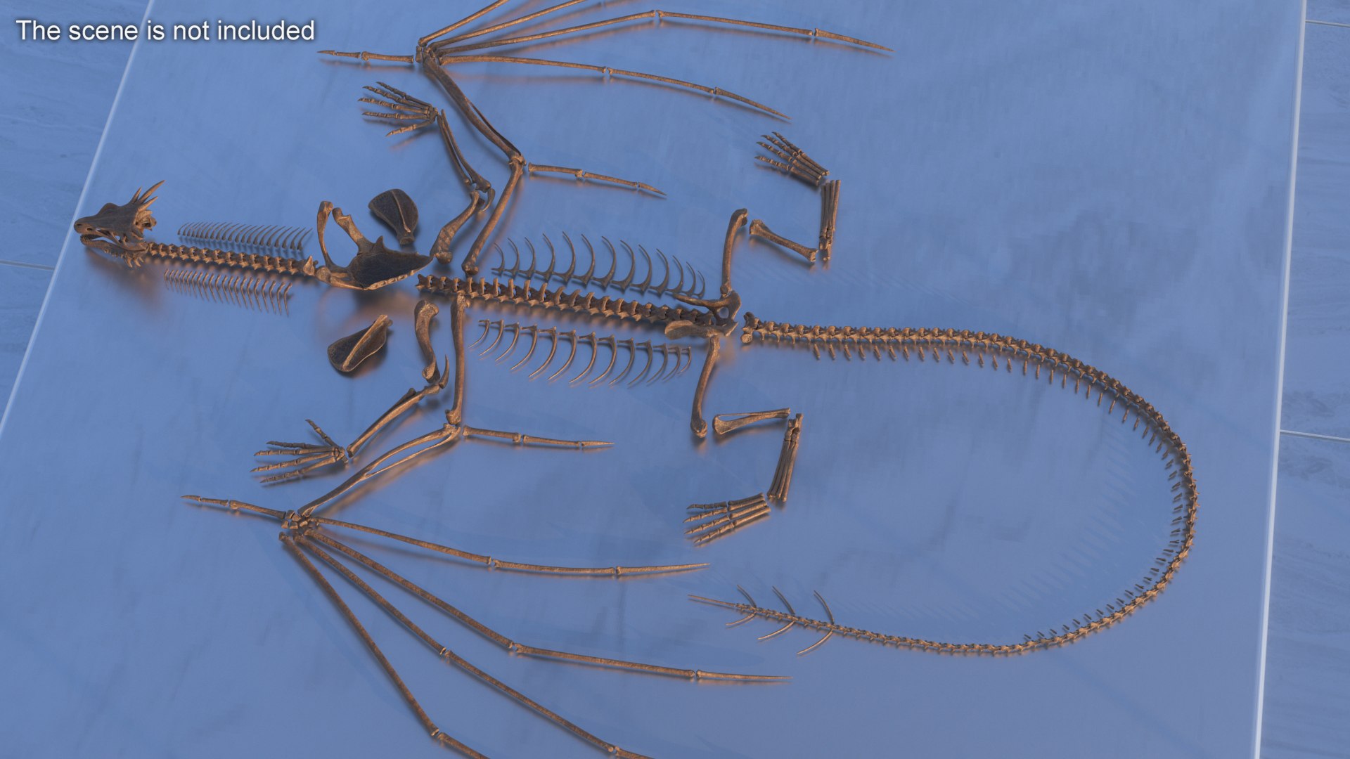 Fossilized Dragon Skeleton In Unfolded State 3D - TurboSquid 2368235