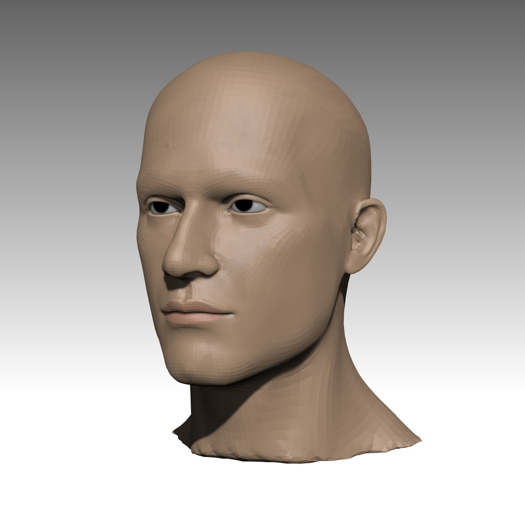 MODELO BASE DE ROSTRO DE HOMBRE BASE MODEL OF MAN S FACE 3D Model ...