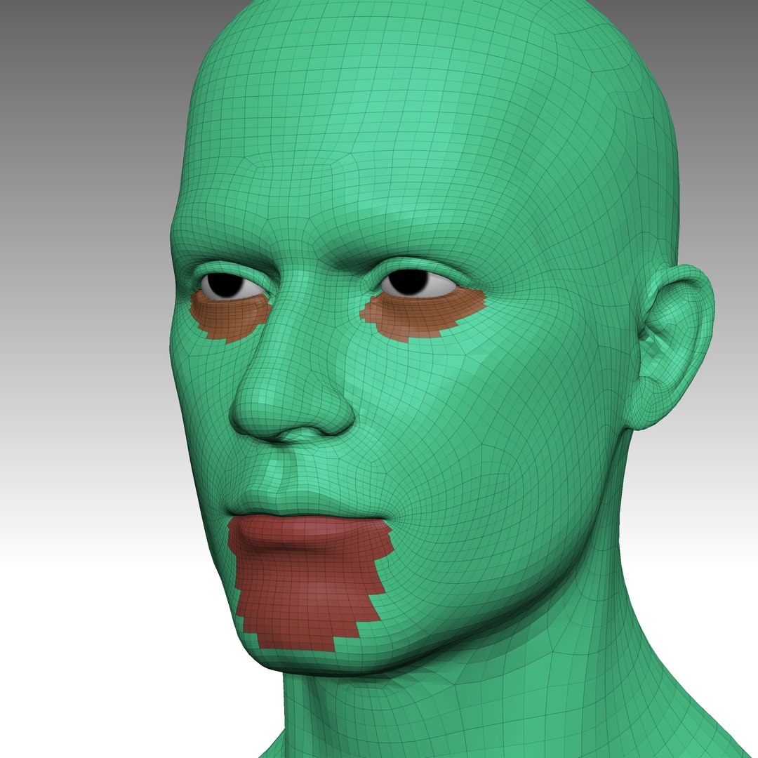 MODELO BASE DE ROSTRO DE HOMBRE BASE MODEL OF MAN S FACE 3D Model ...
