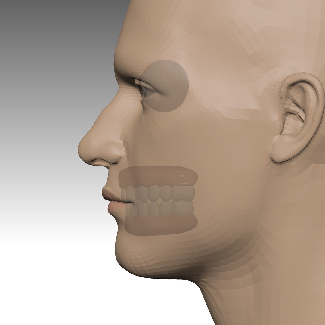 MODELO BASE DE ROSTRO DE HOMBRE BASE MODEL OF MAN S FACE 3D Model ...