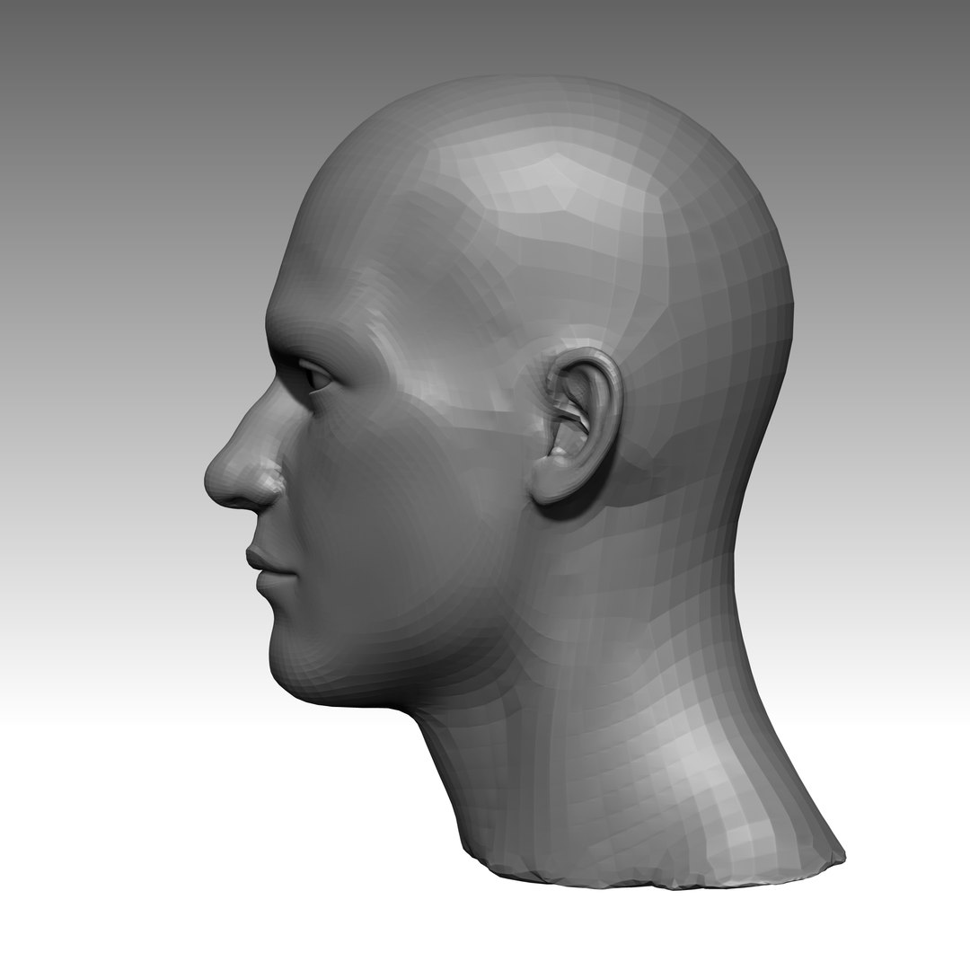 MODELO BASE DE ROSTRO DE HOMBRE BASE MODEL OF MAN S FACE 3D Model ...