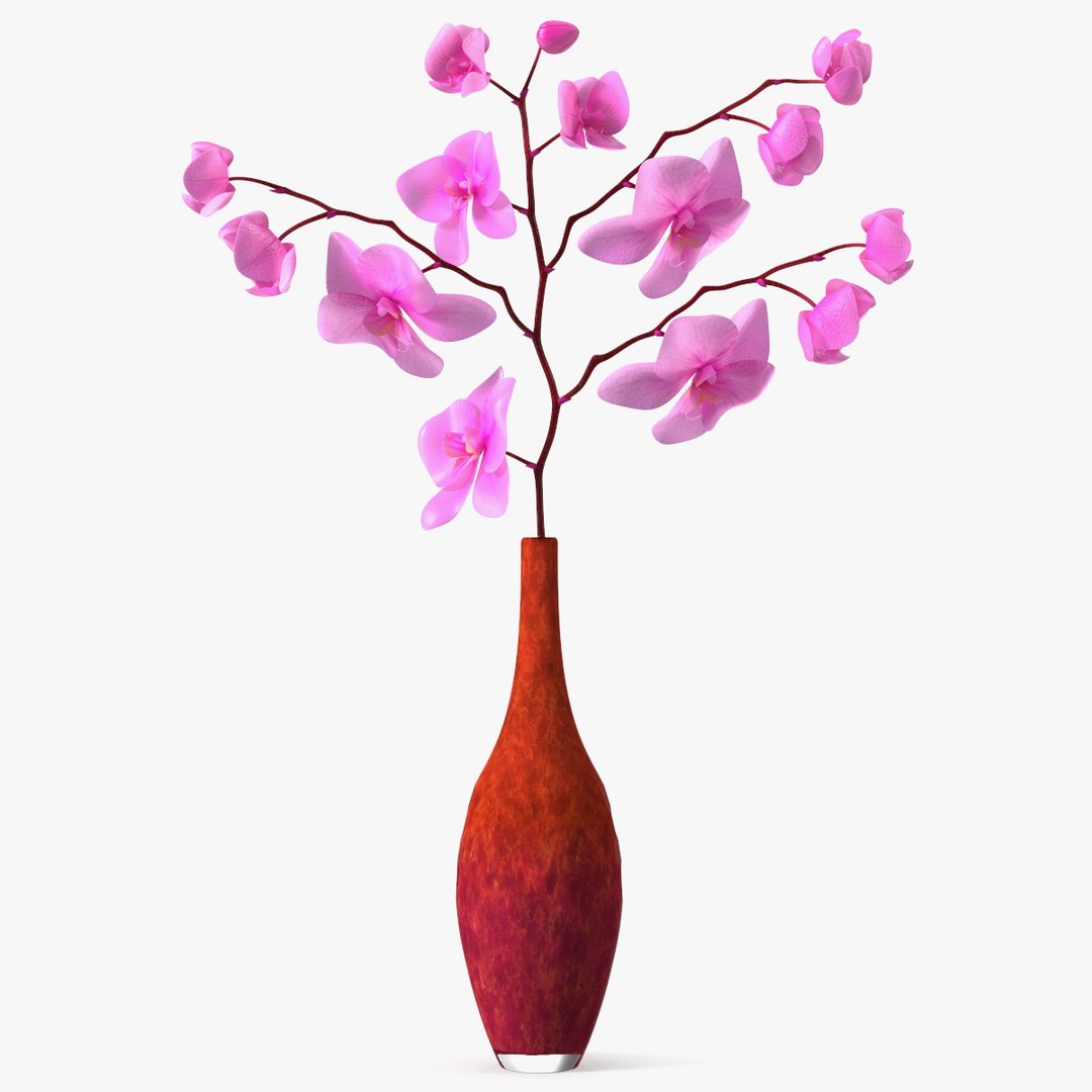 3D Glass Vase with Pink Phalaenopsis Orchid - TurboSquid 2079966