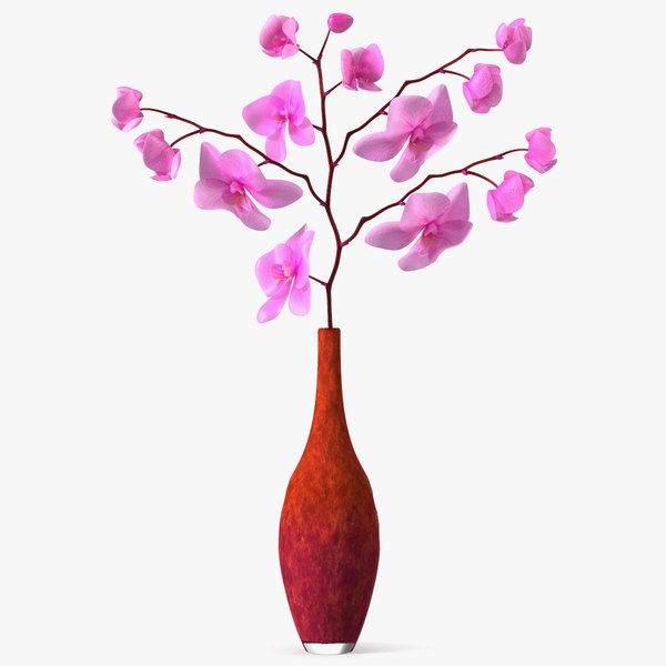 modelo 3d Glass Vase with Pink Phalaenopsis Orchid - TurboSquid 2079966