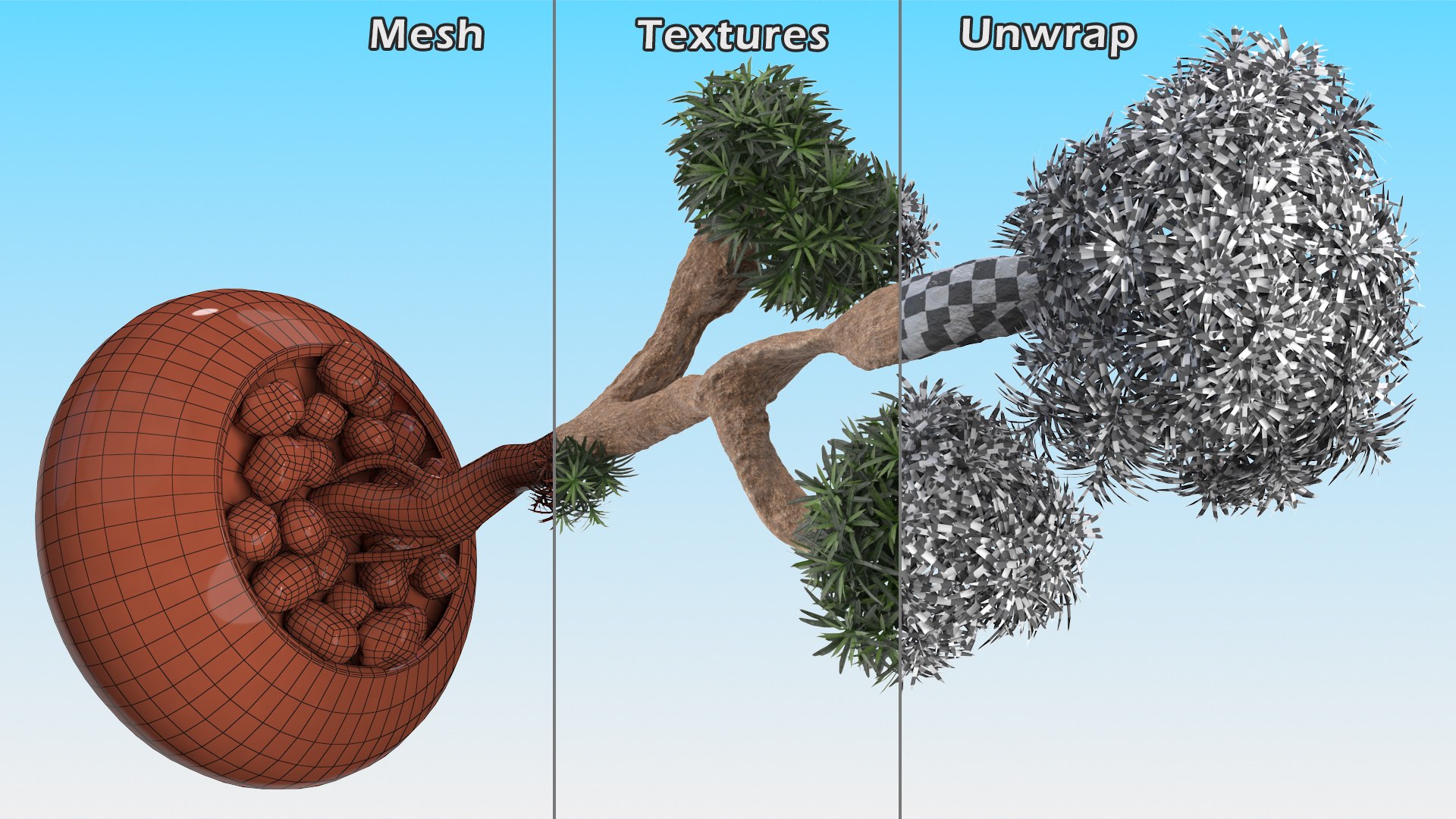 3D Model Podocarpus Small Tree In Pot - TurboSquid 1789461