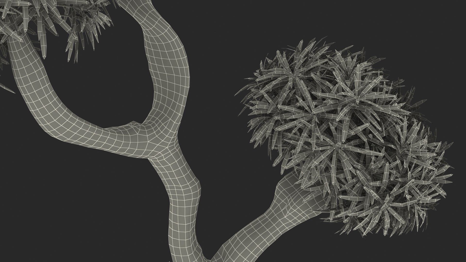 3D Model Podocarpus Small Tree In Pot - TurboSquid 1789461