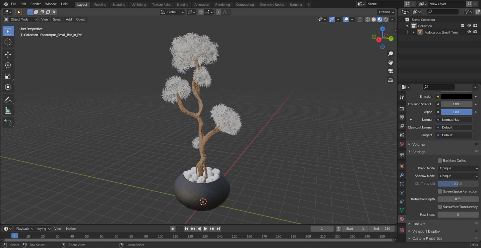 3D Model Podocarpus Small Tree In Pot - TurboSquid 1789461