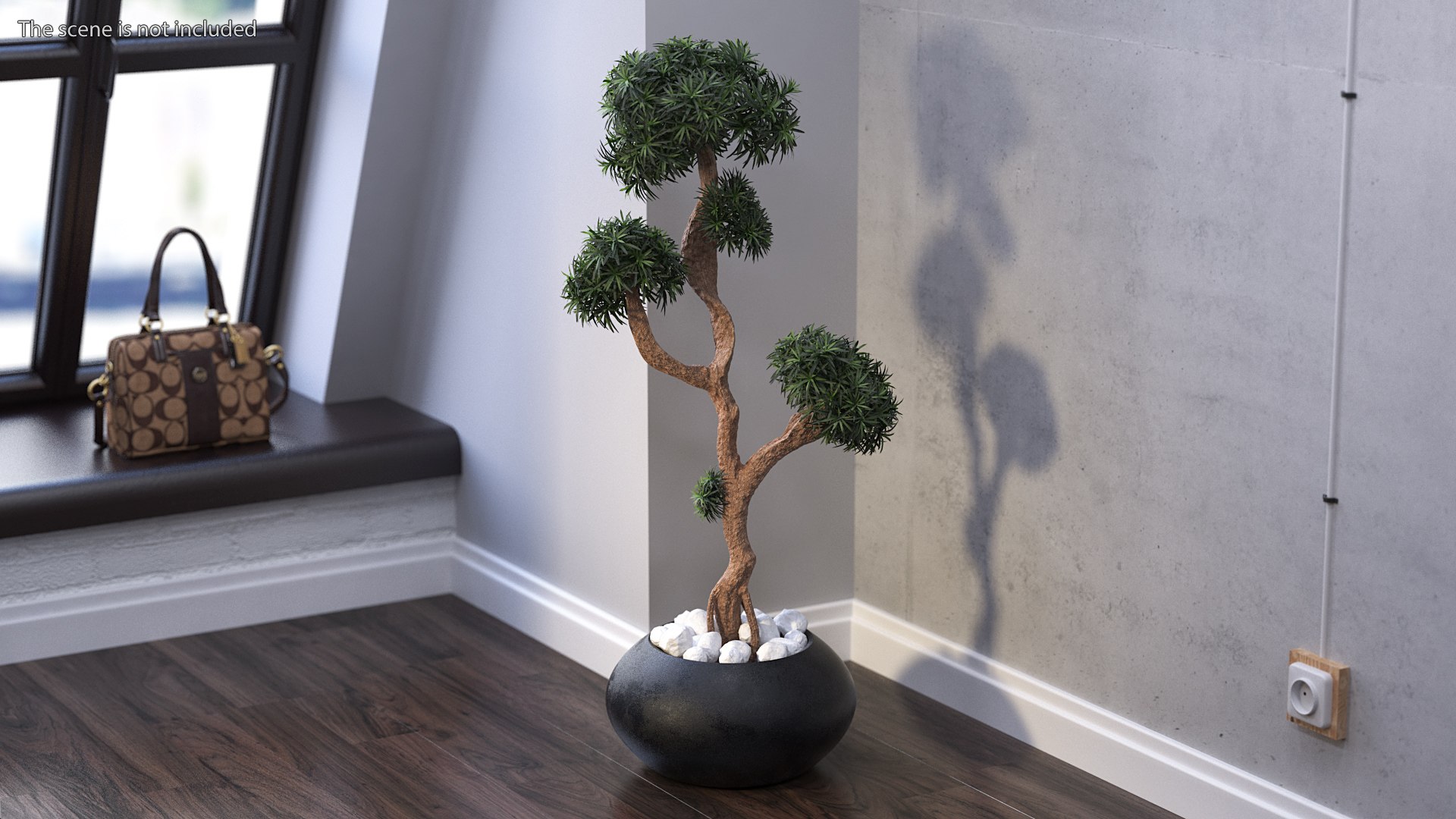 3D model Podocarpus Small Tree in Pot - TurboSquid 1789461