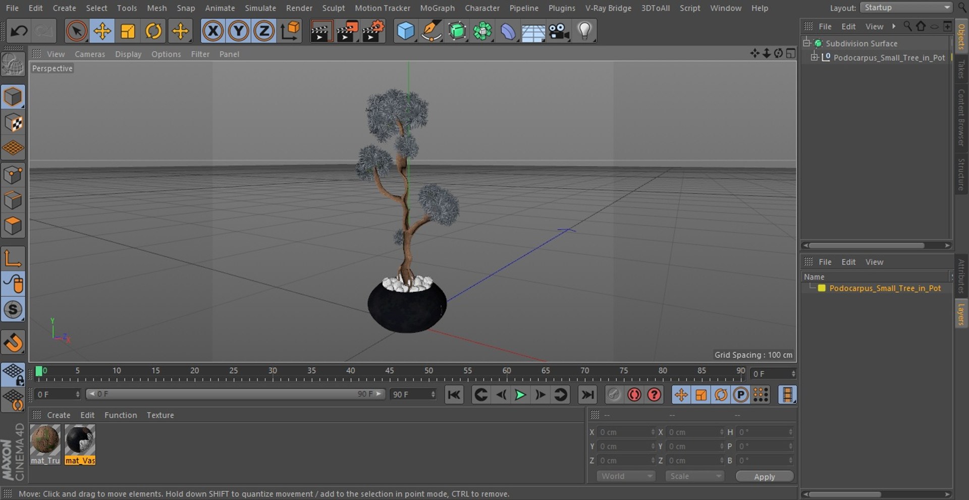 3D Model Podocarpus Small Tree In Pot - TurboSquid 1789461