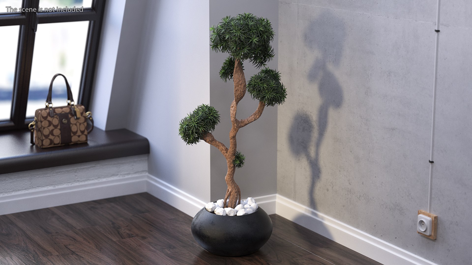 3D Model Podocarpus Small Tree In Pot - TurboSquid 1789461
