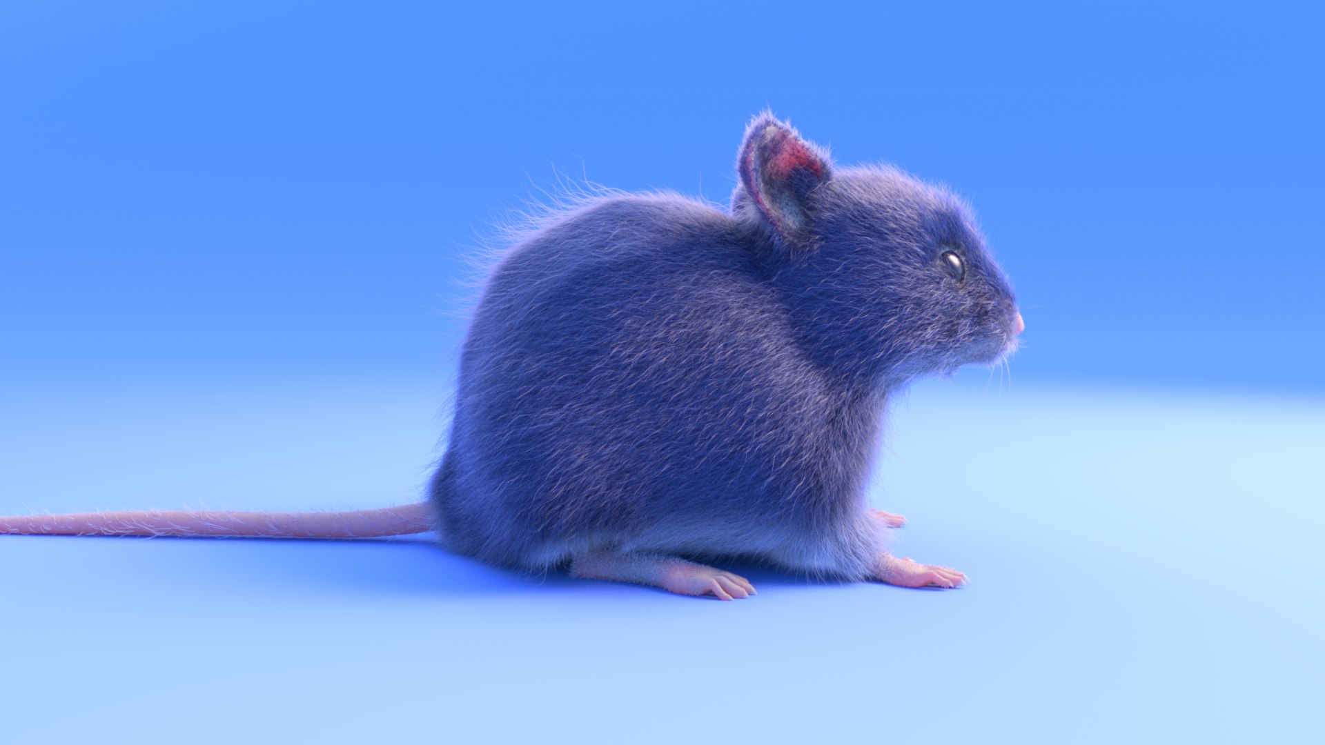 3D Grey Mouse - Fur - TurboSquid 1301416