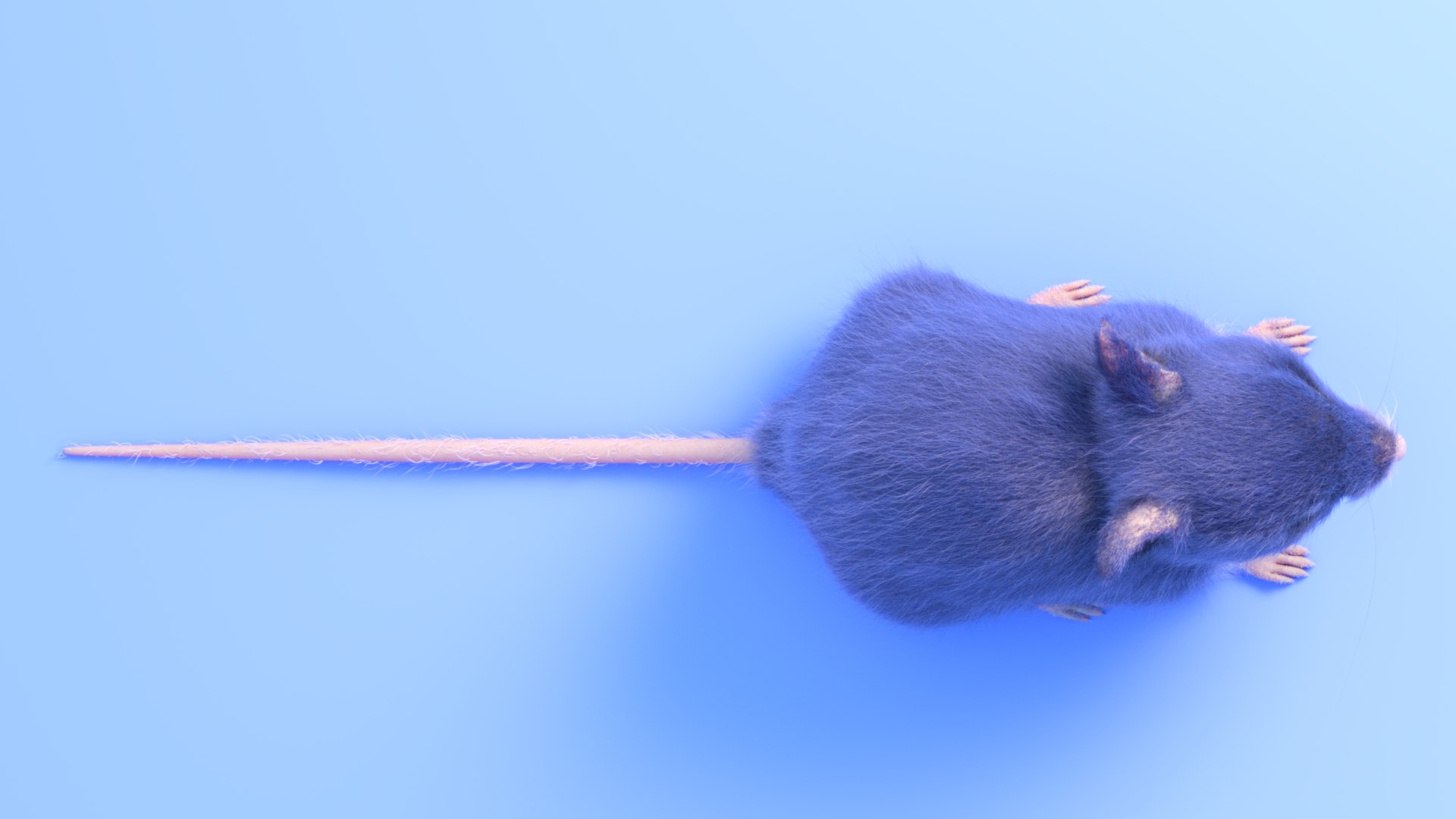 3D Grey Mouse - Fur - TurboSquid 1301416