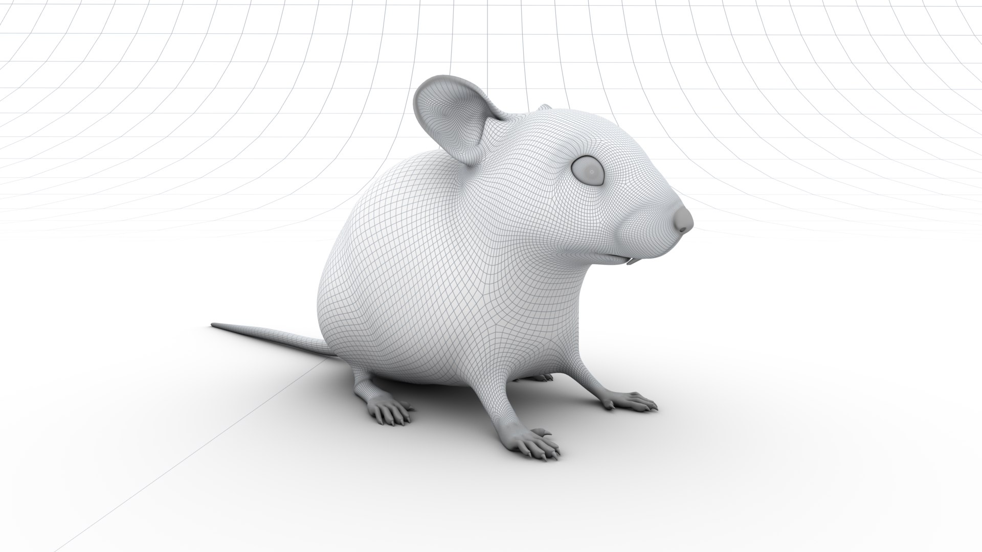 3D Grey Mouse - Fur - TurboSquid 1301416