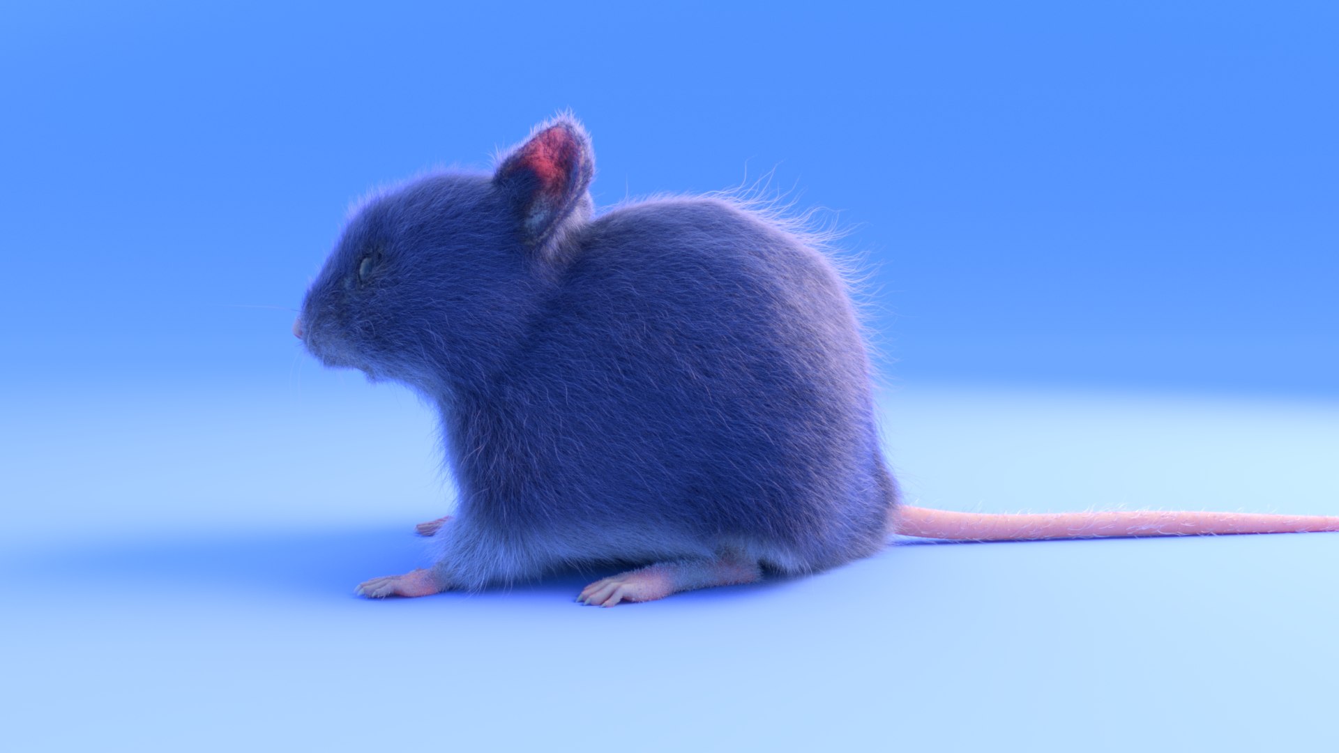 3D Grey Mouse - Fur - TurboSquid 1301416