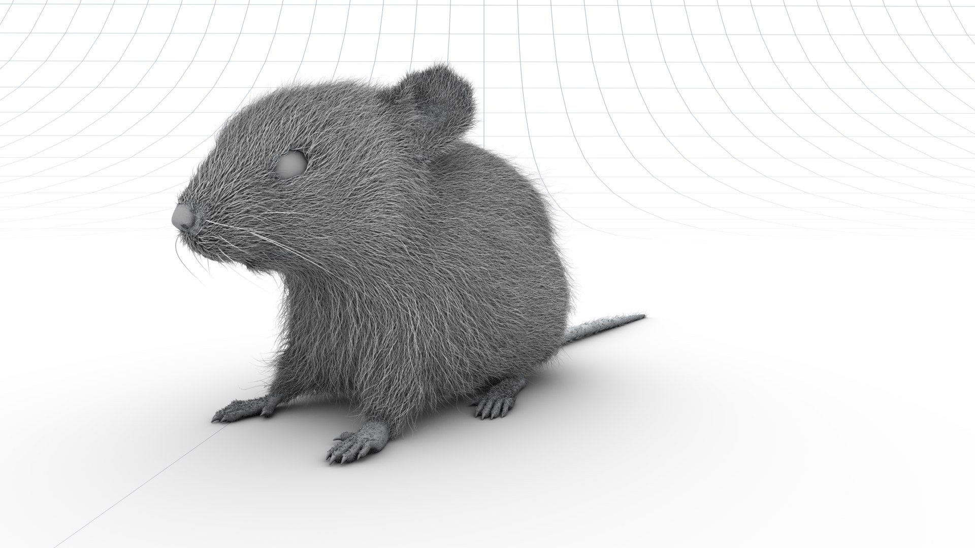 3D Grey Mouse - Fur - TurboSquid 1301416