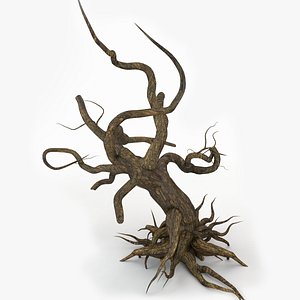 tree roots 3d model