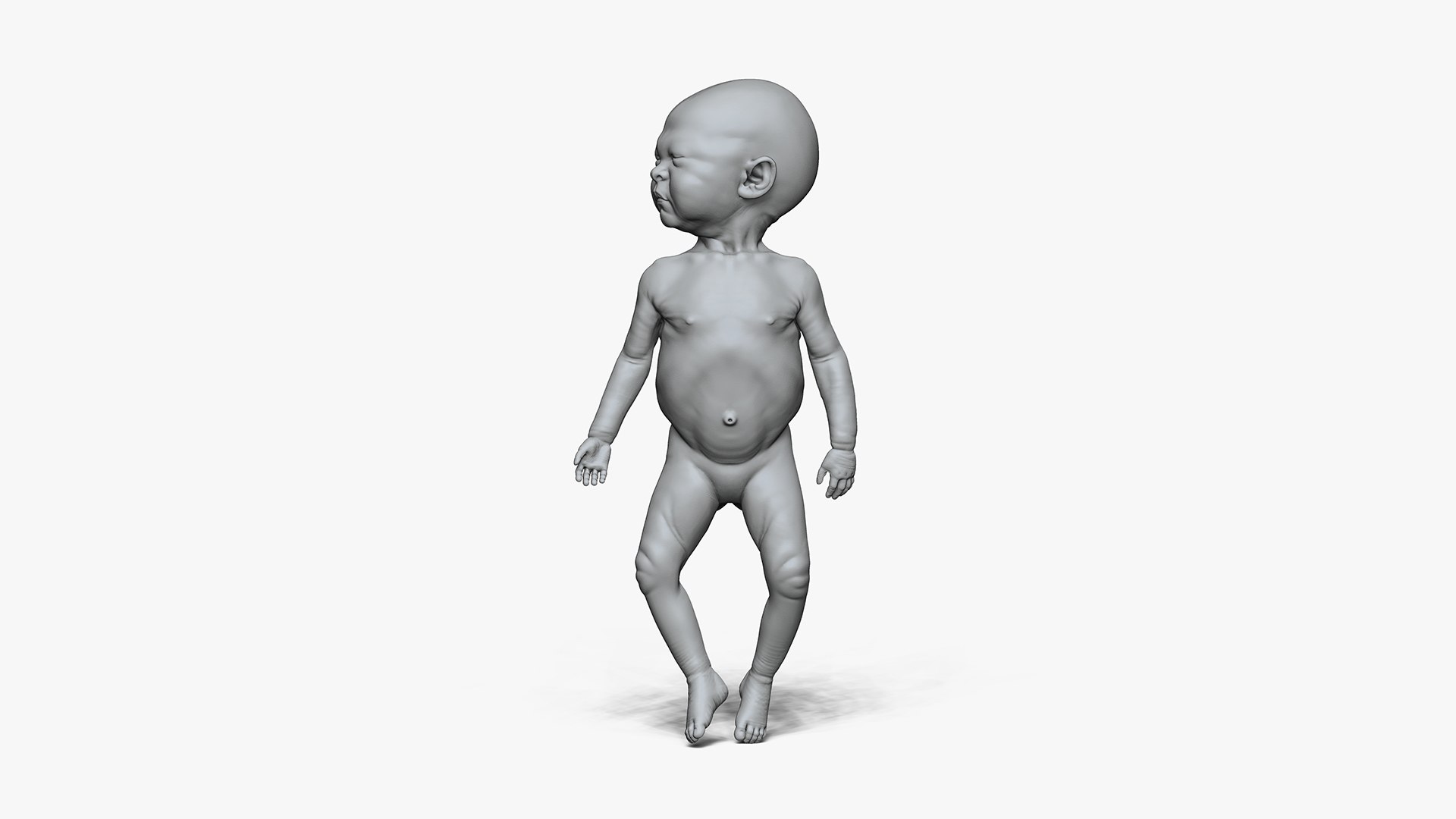 3D Model Anatomy Of Newborn Unisex - TurboSquid 1907117