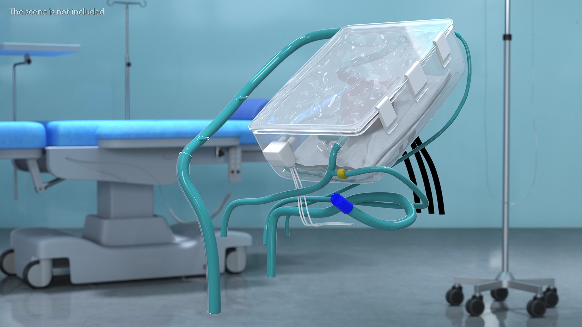3D Heart In Organ Care Box Model - TurboSquid 1822438