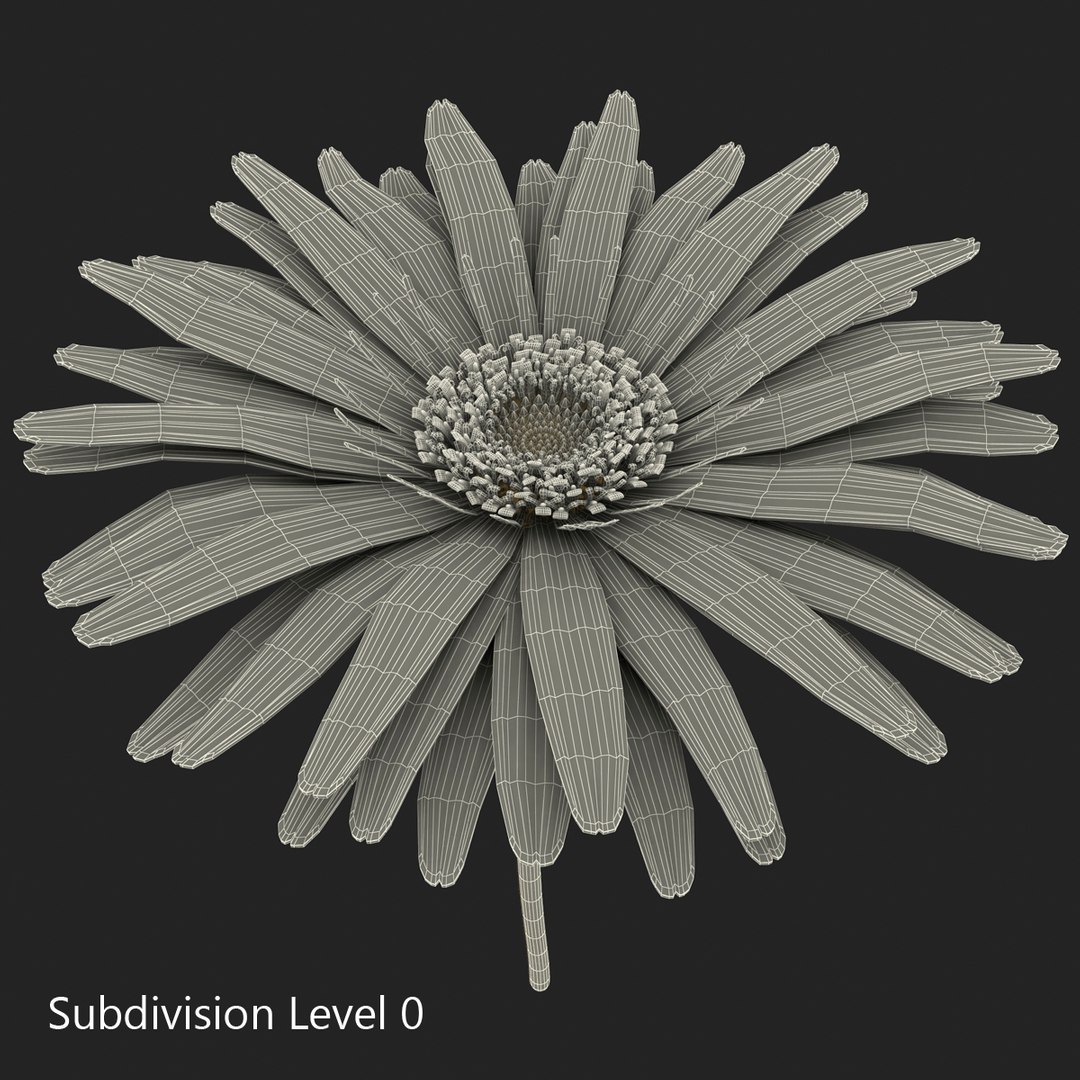 yellow daisy 3d c4d