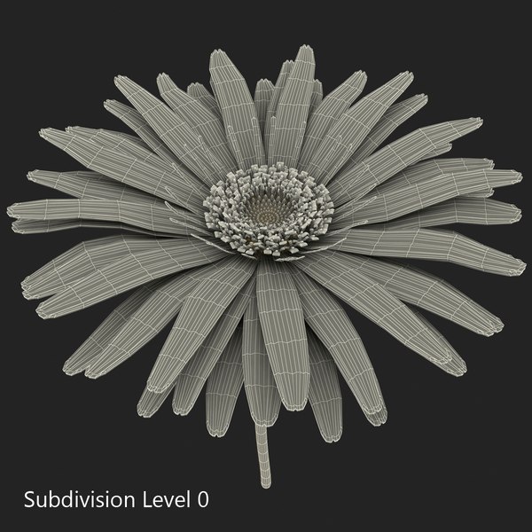 yellow daisy 3d c4d