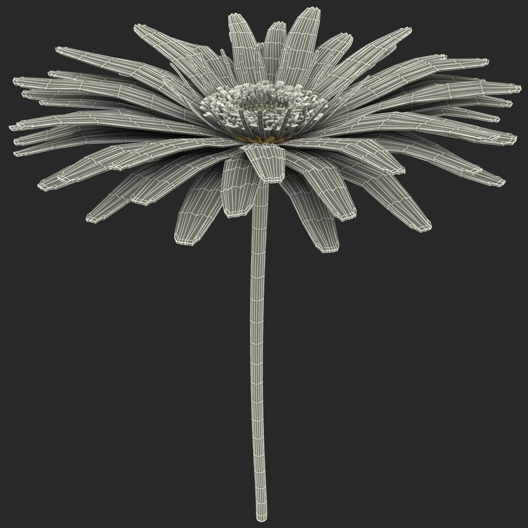 yellow daisy 3d c4d