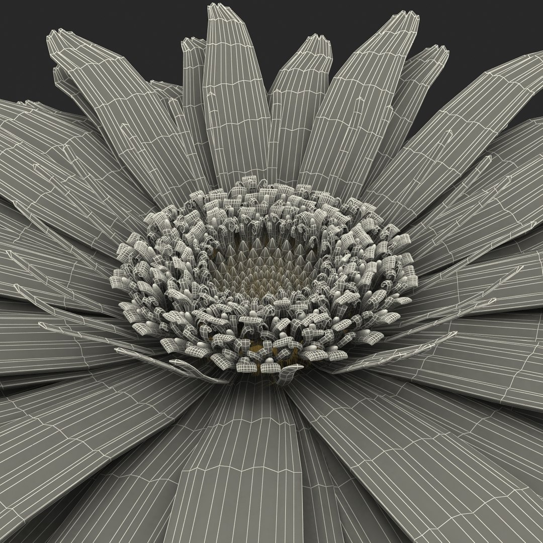 yellow daisy 3d c4d
