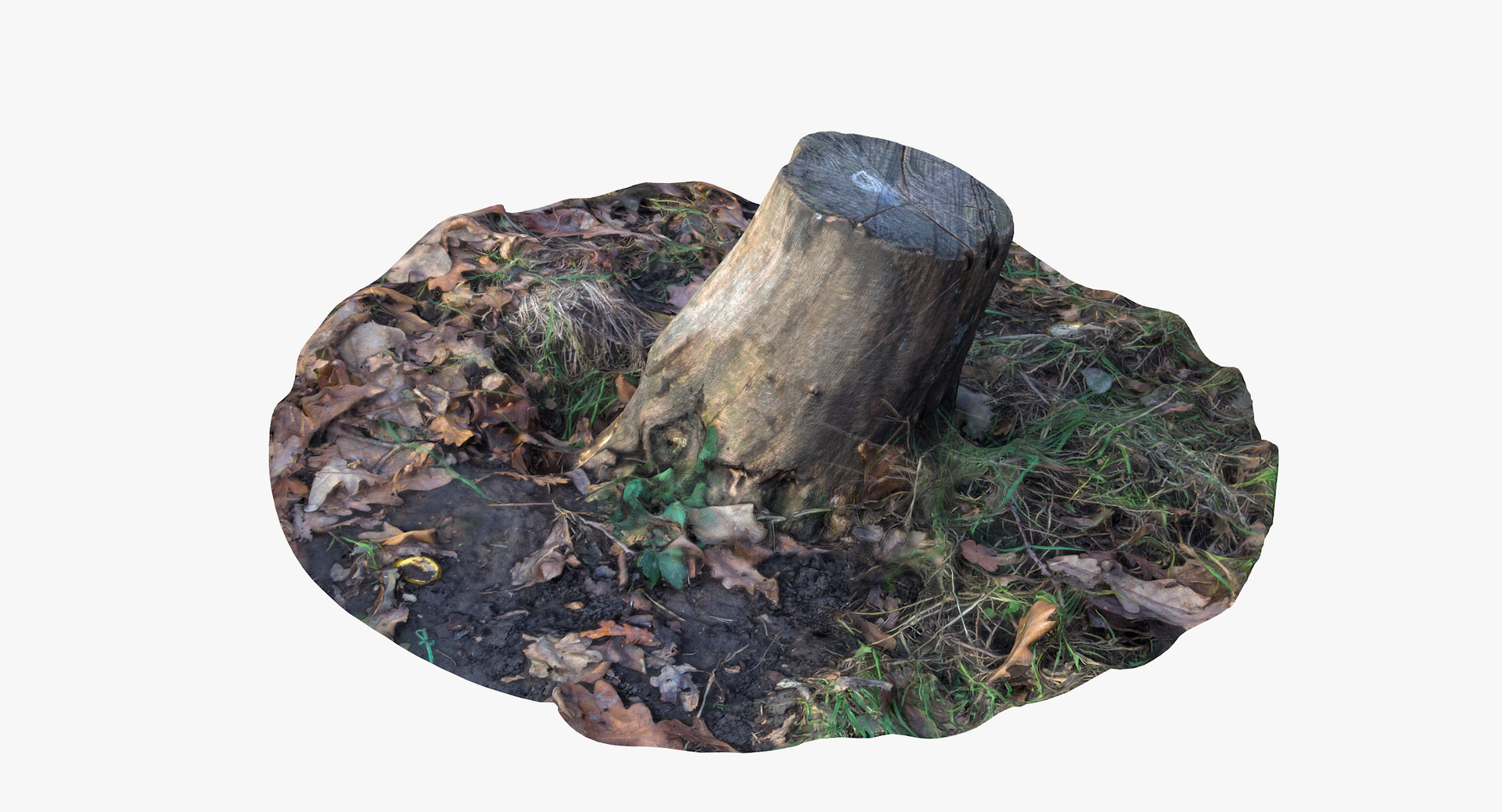 3D Oak Stump 10 Model - TurboSquid 1247691