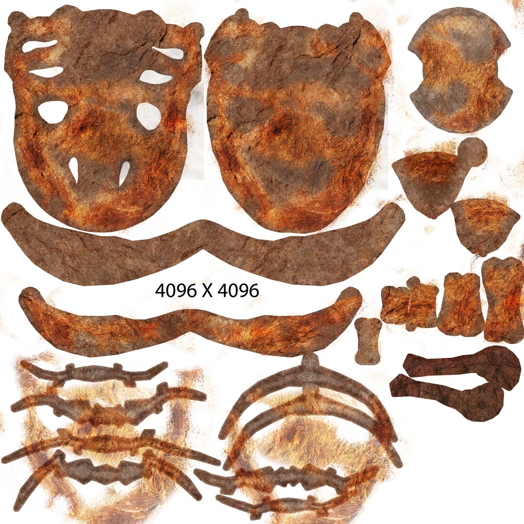 3d Model Fossils Animals Rock