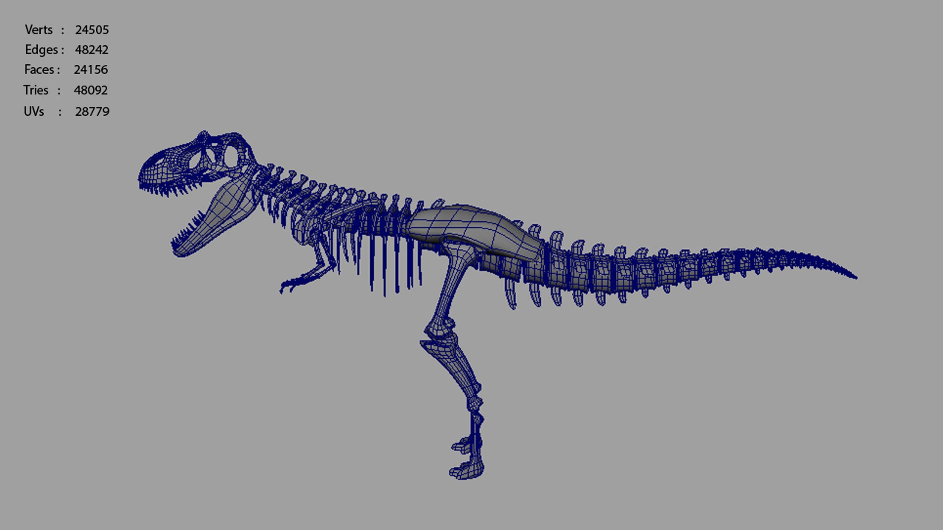 3d Model Fossils Animals Rock