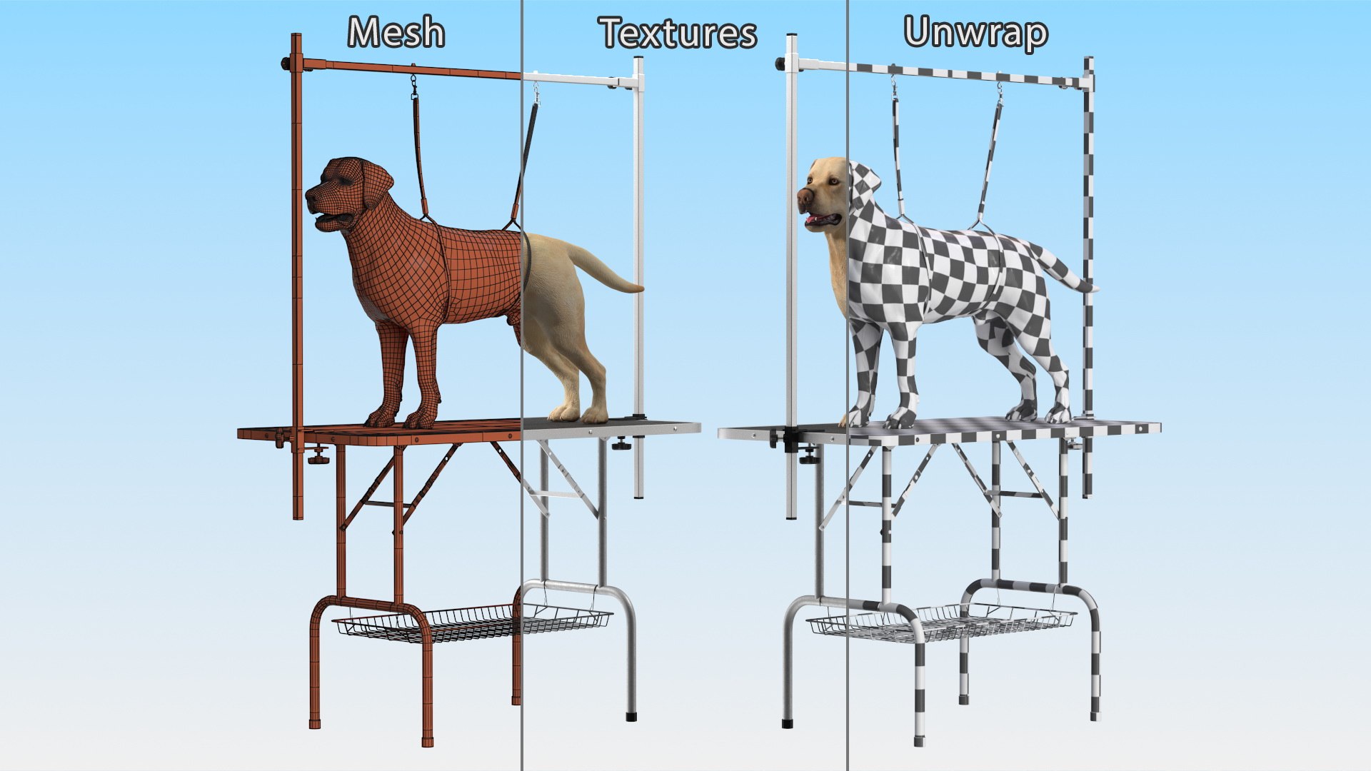 3D Grooming Table With Dog Model - TurboSquid 1971777