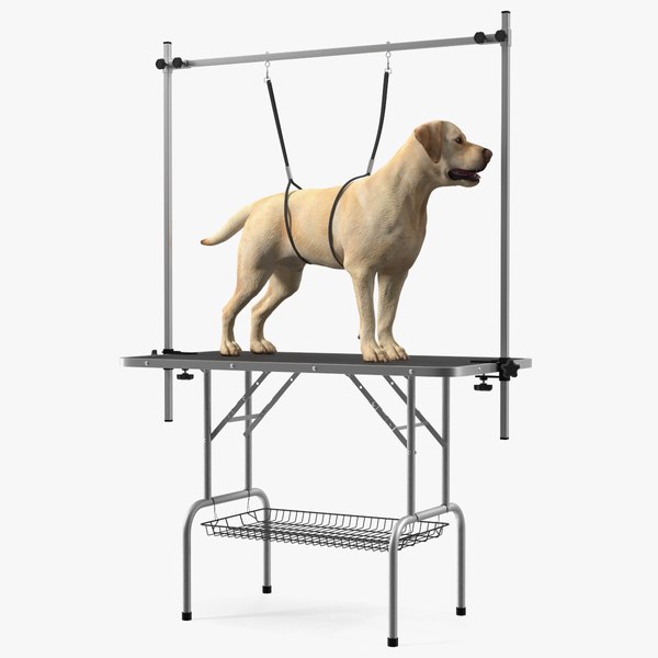 3D Grooming Table with Dog model - TurboSquid 1971777