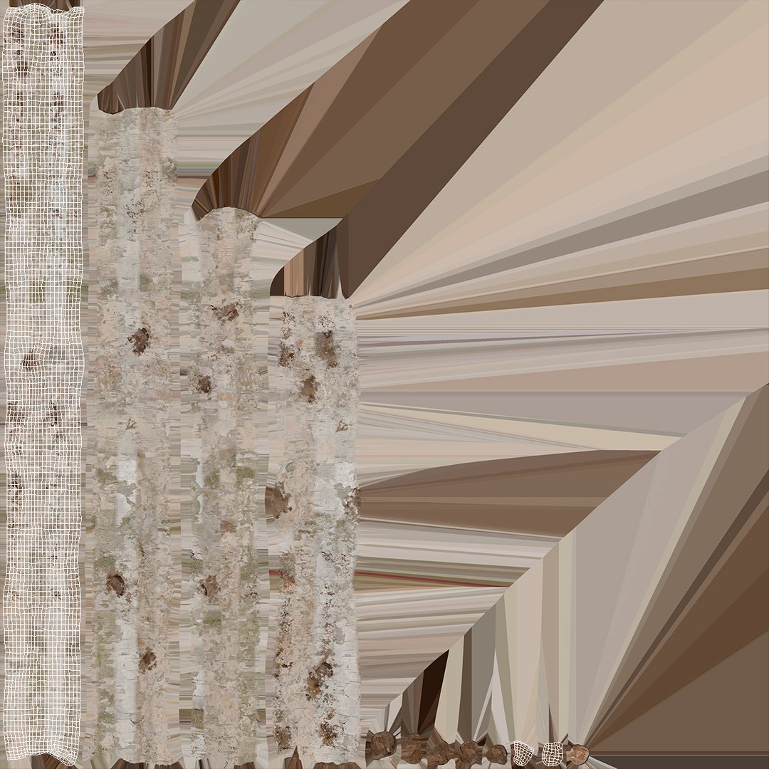 3D Birch Pole with White Bark model - TurboSquid 2127227