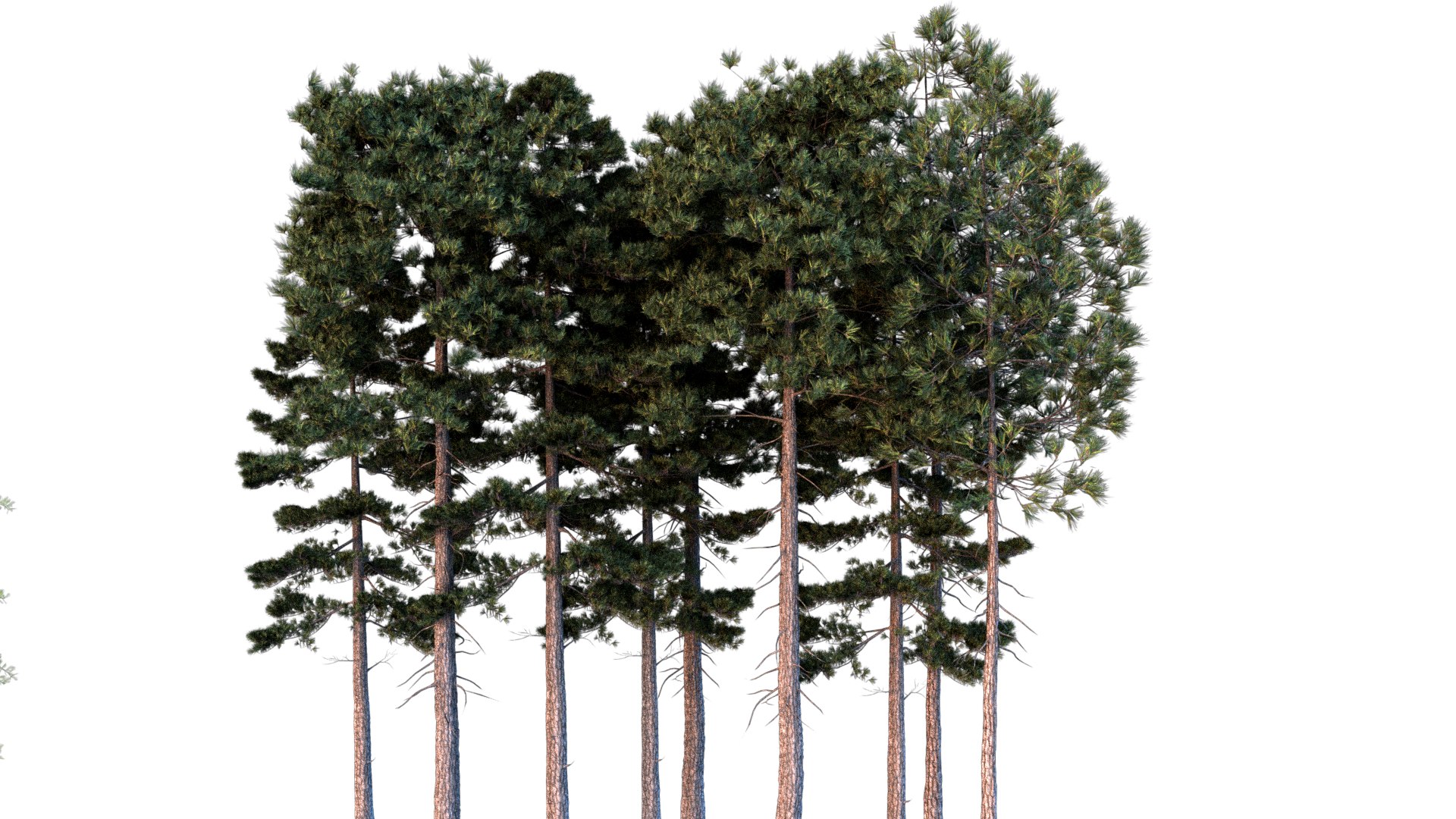 3D All In One Plant Tree Pack - TurboSquid 2197145