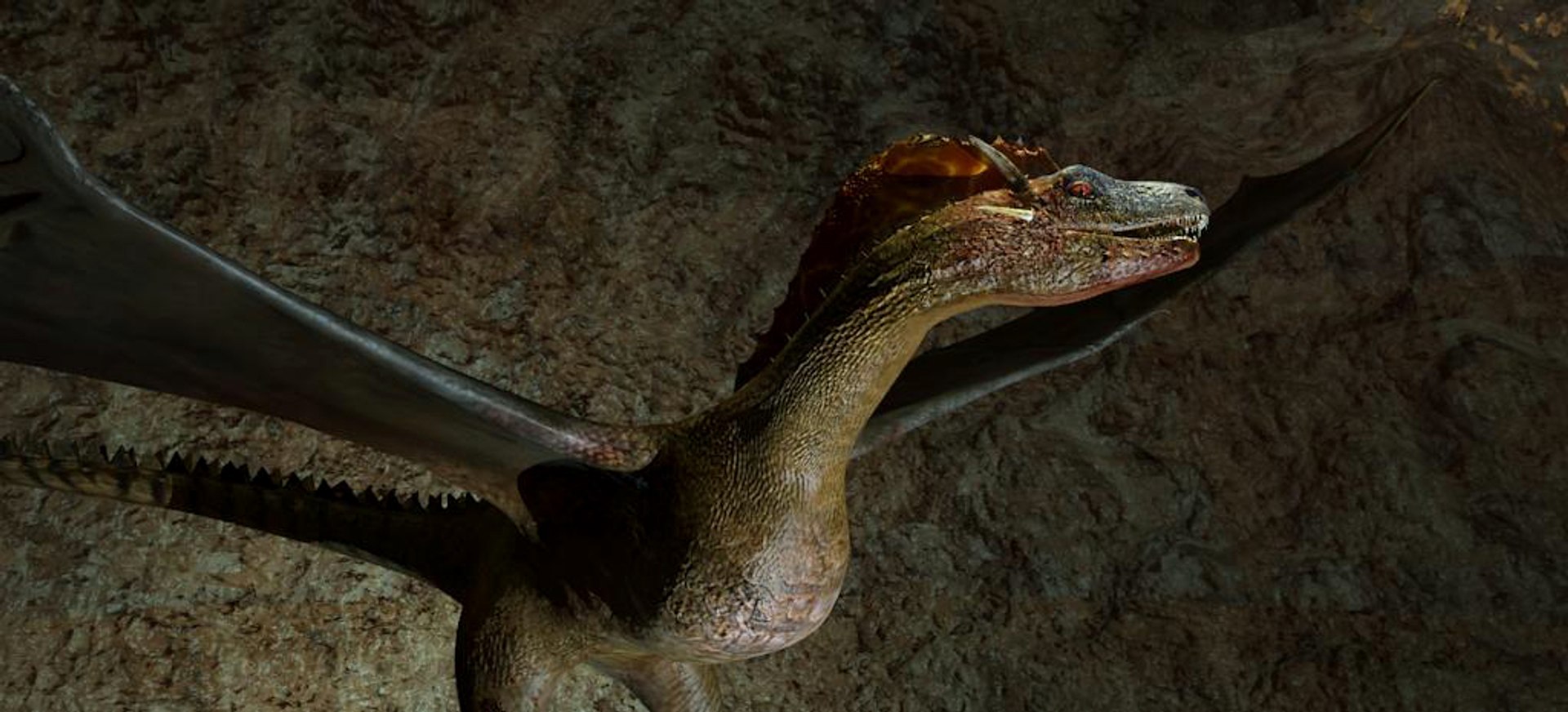 3D animations morph body model - TurboSquid 1422973