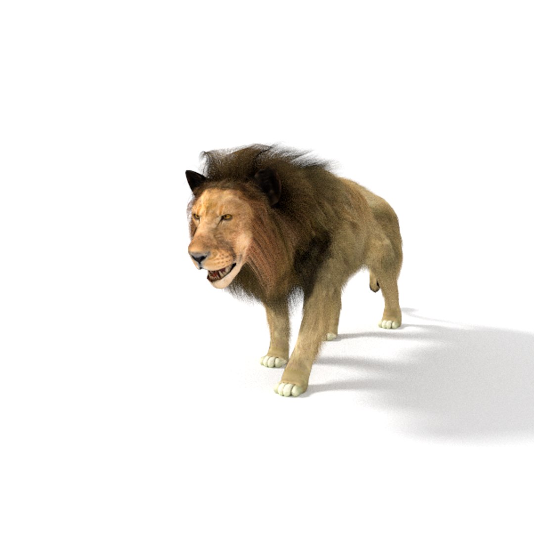 3d Model Lion Animation