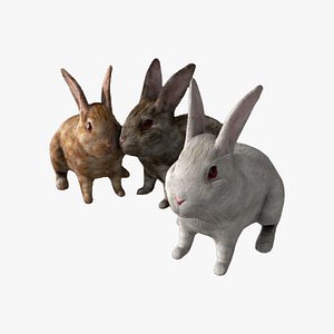 3d model black rabbit pose 3