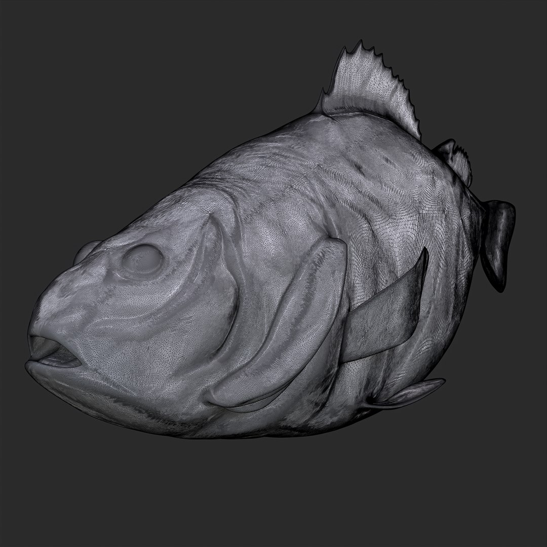 3D Perch 3D Print Model - TurboSquid 1884471