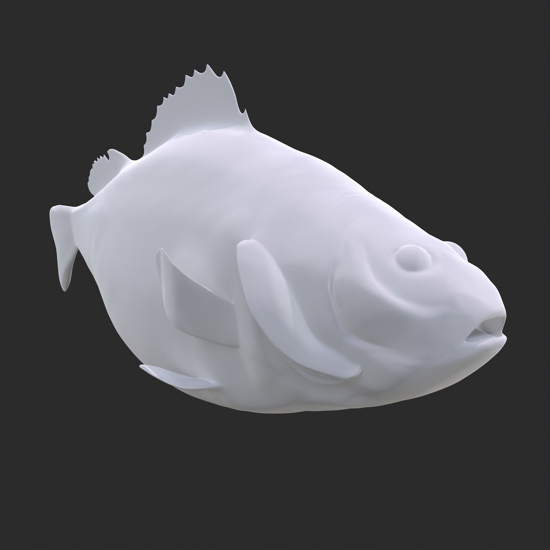 3D Perch 3D Print Model - TurboSquid 1884471