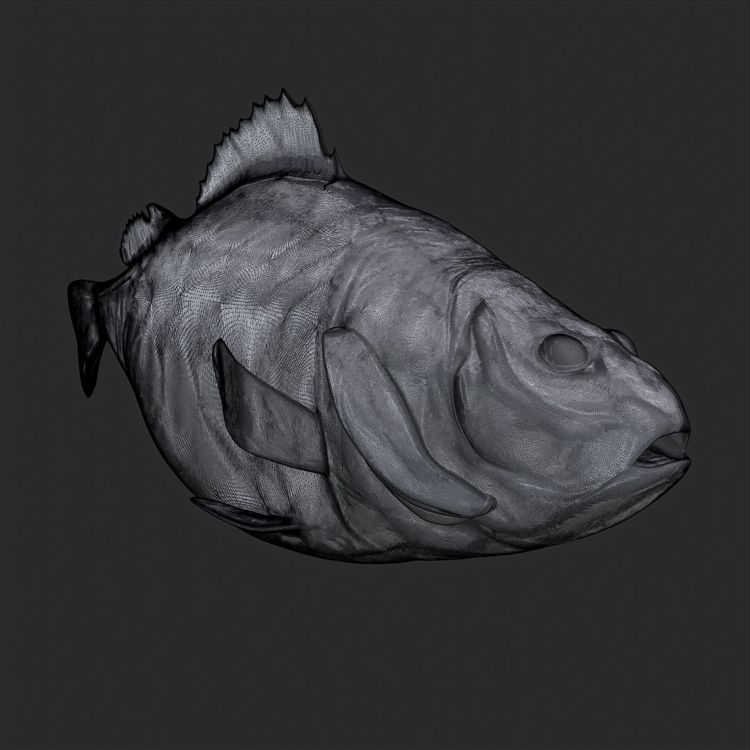 3D Perch 3D Print Model - TurboSquid 1884471