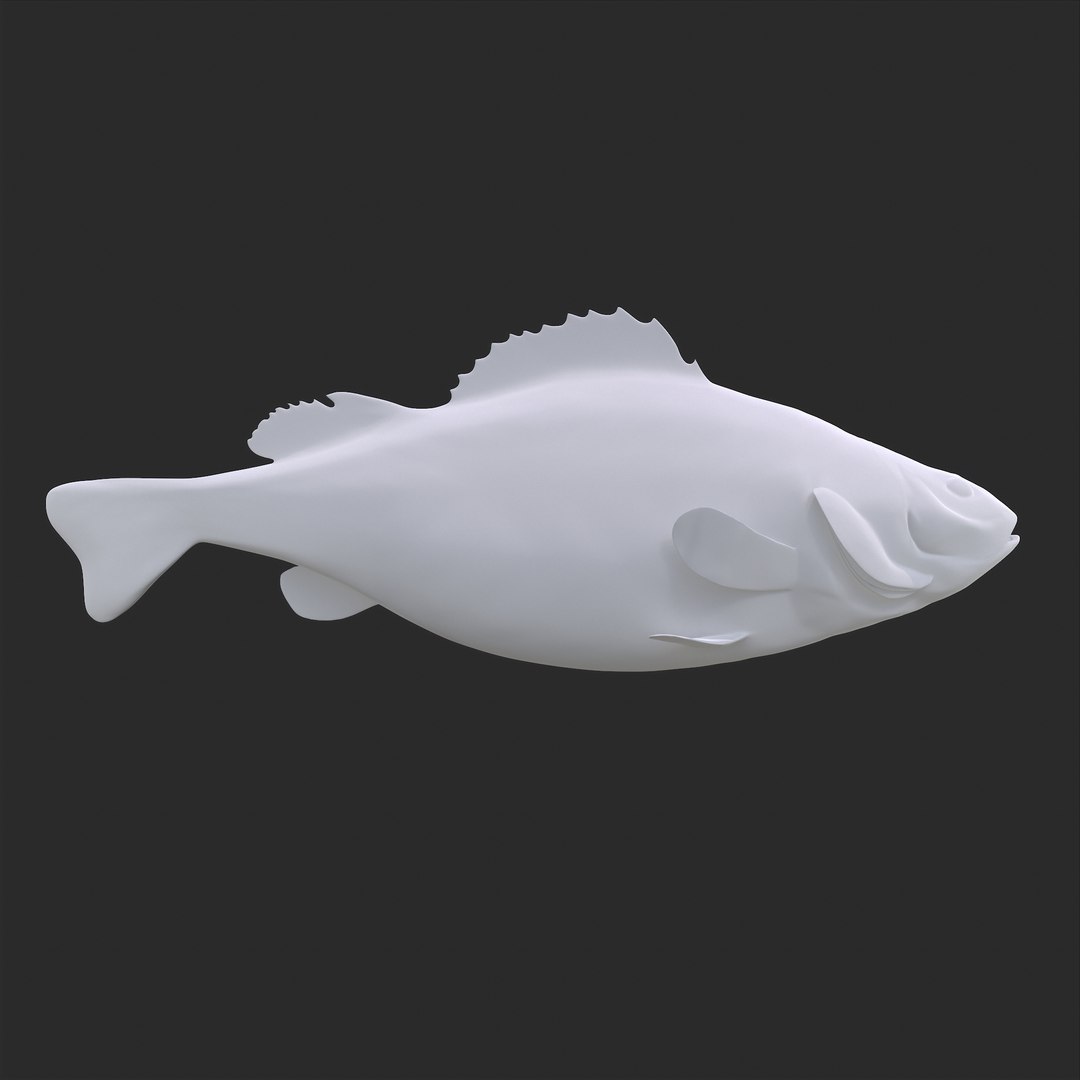 3D Perch 3D Print Model - TurboSquid 1884471
