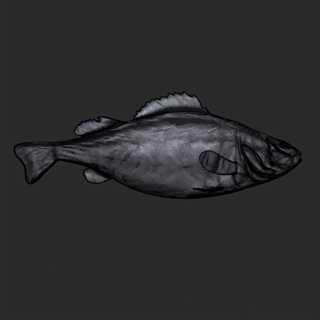 3D Perch 3D Print Model - TurboSquid 1884471