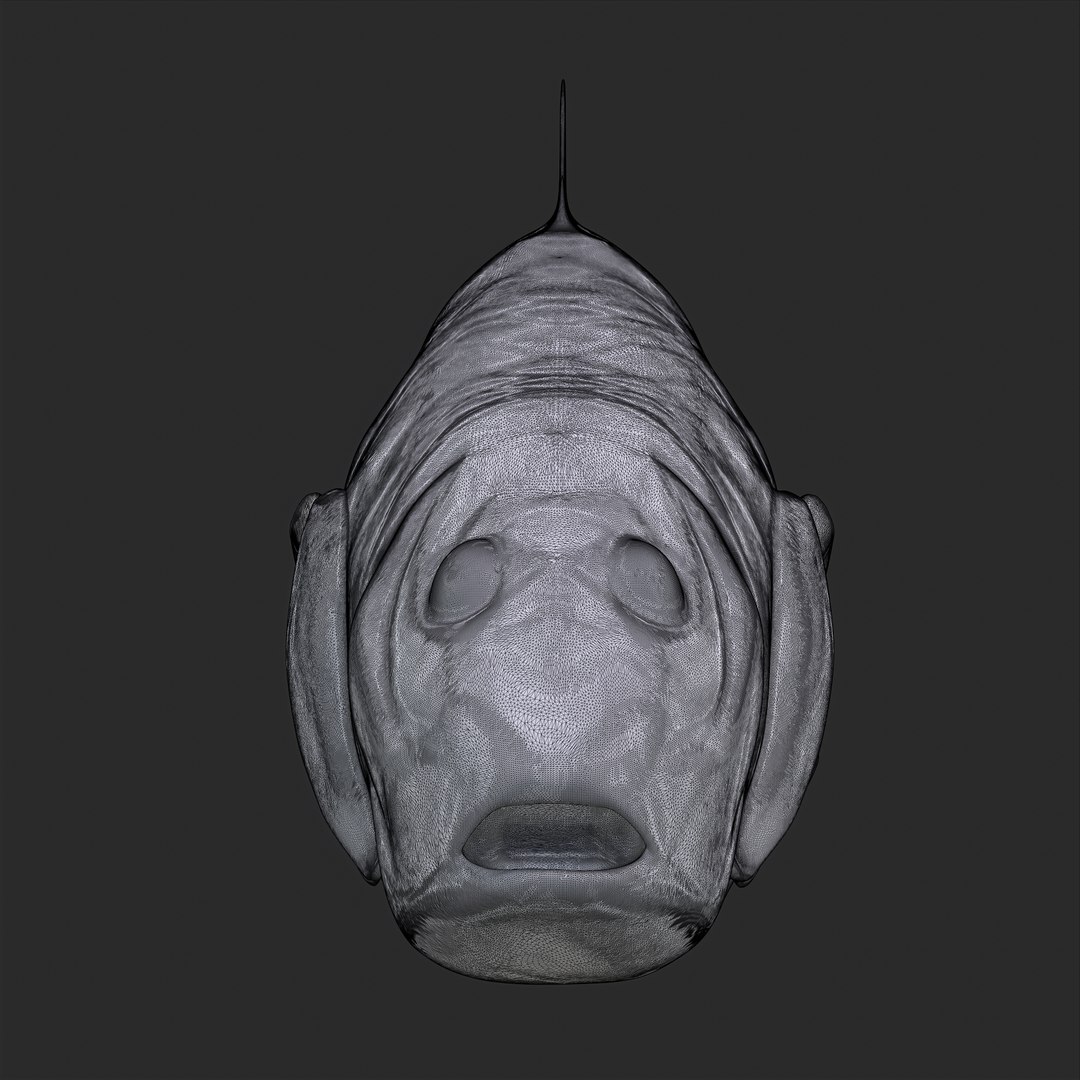 3D Perch 3D Print Model - TurboSquid 1884471