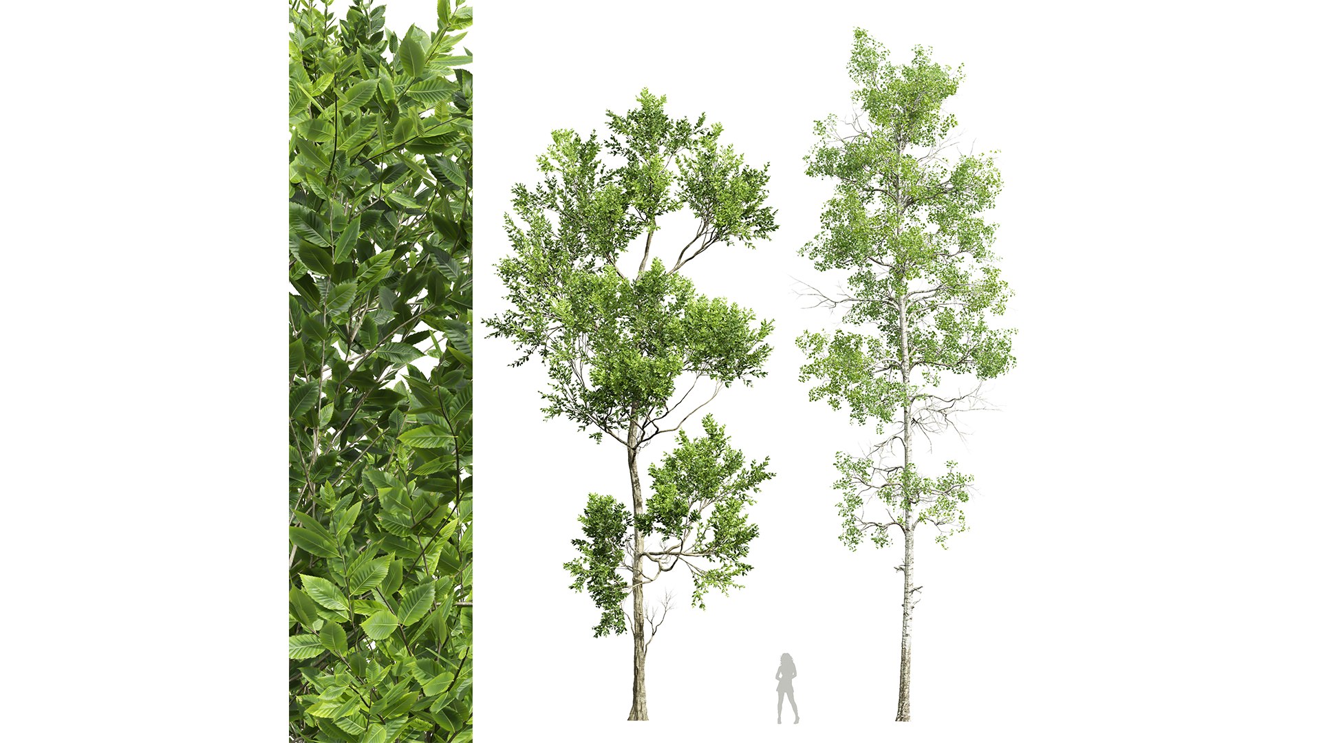 6Different SETS Of Bush Set Vol 28 3D - TurboSquid 2205083