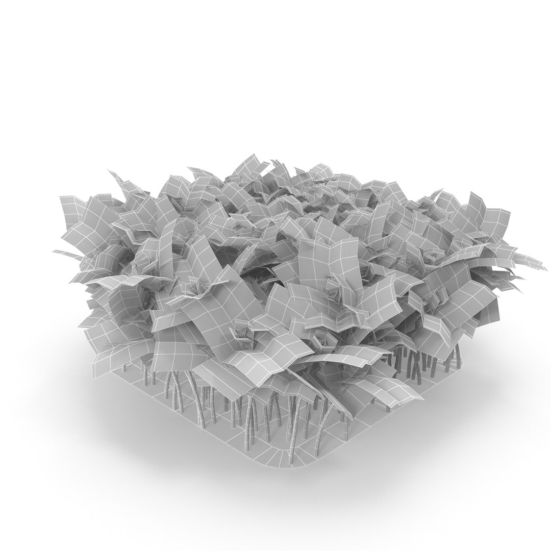 Red Amaranth Model - TurboSquid 1565464