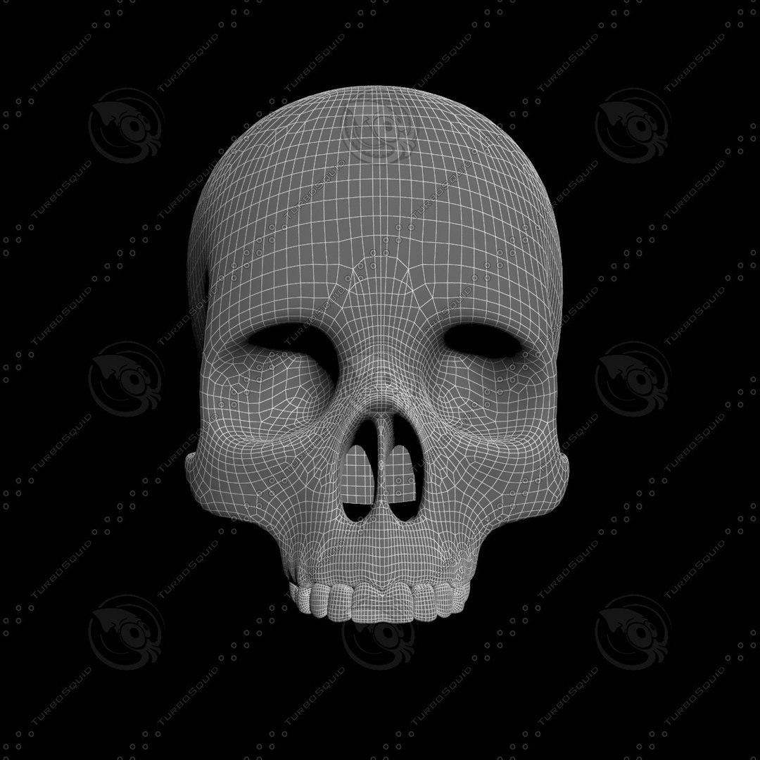 Skull Design 3d Model