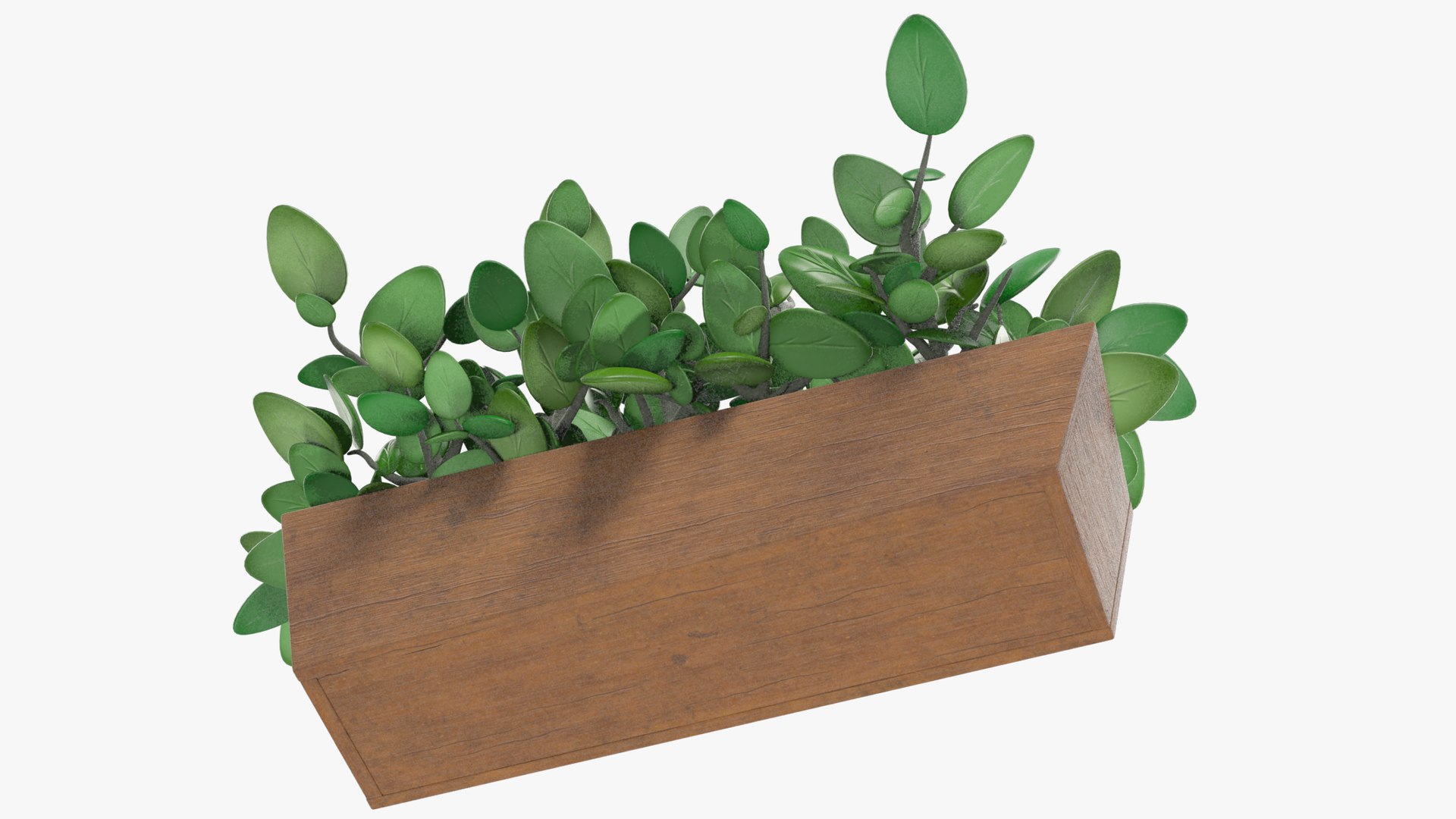 3D Stylized Flower Pot - TurboSquid 1677840