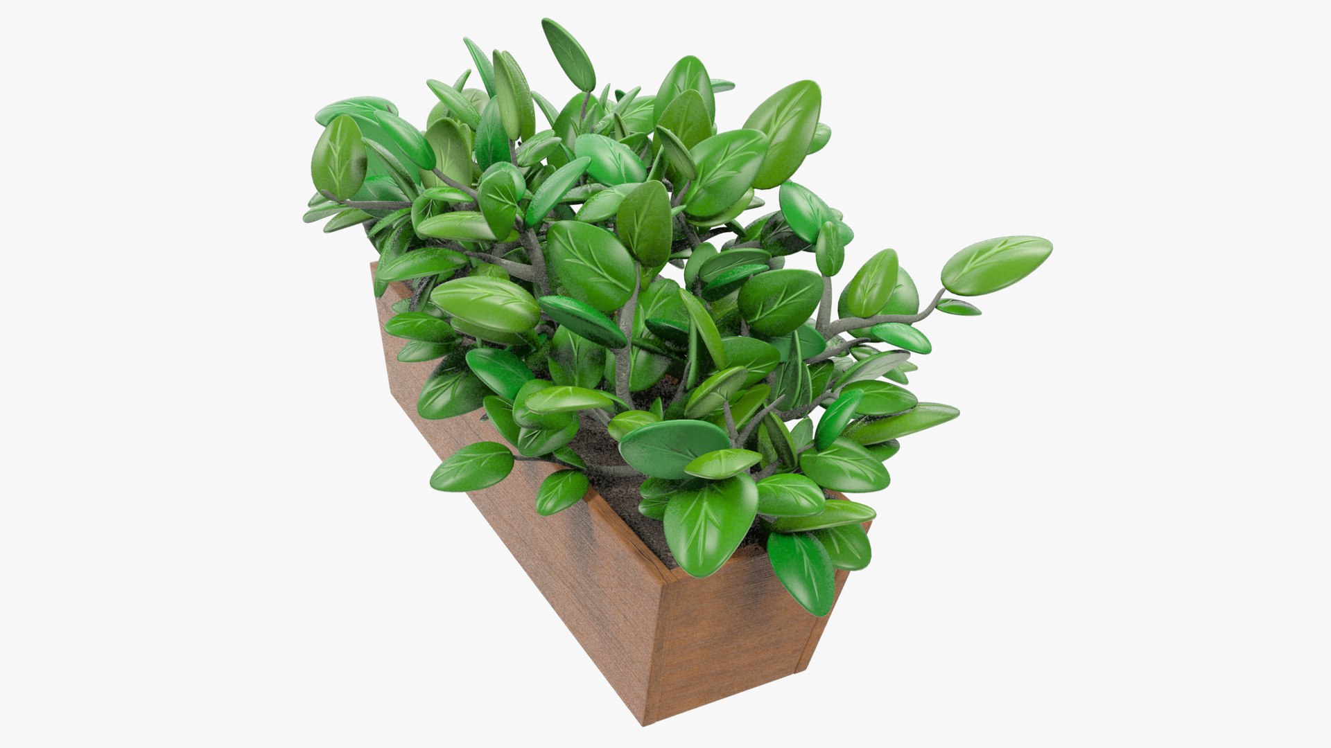 3D Stylized Flower Pot - TurboSquid 1677840