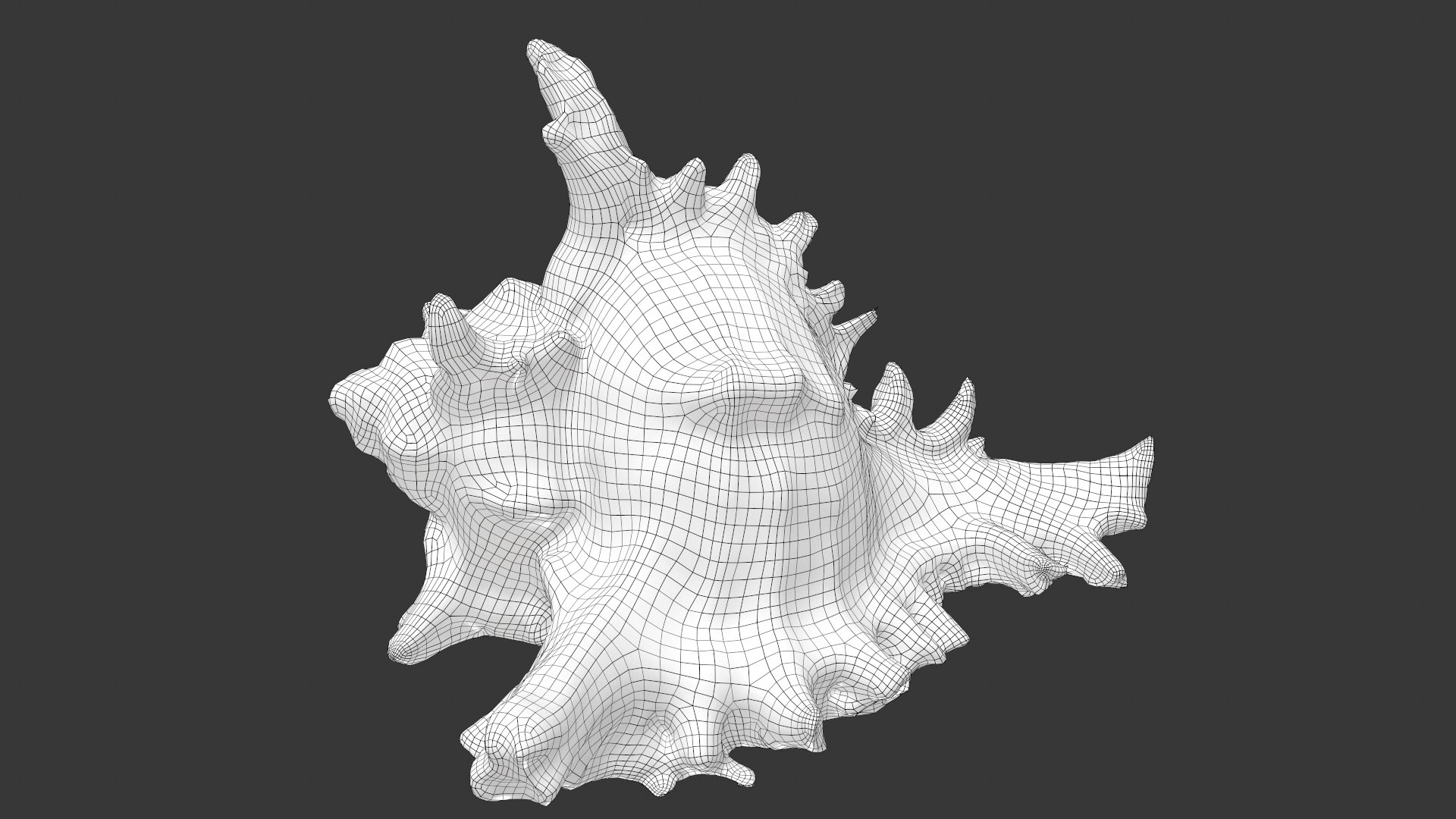 3D Model Sea Shell - TurboSquid 1640580
